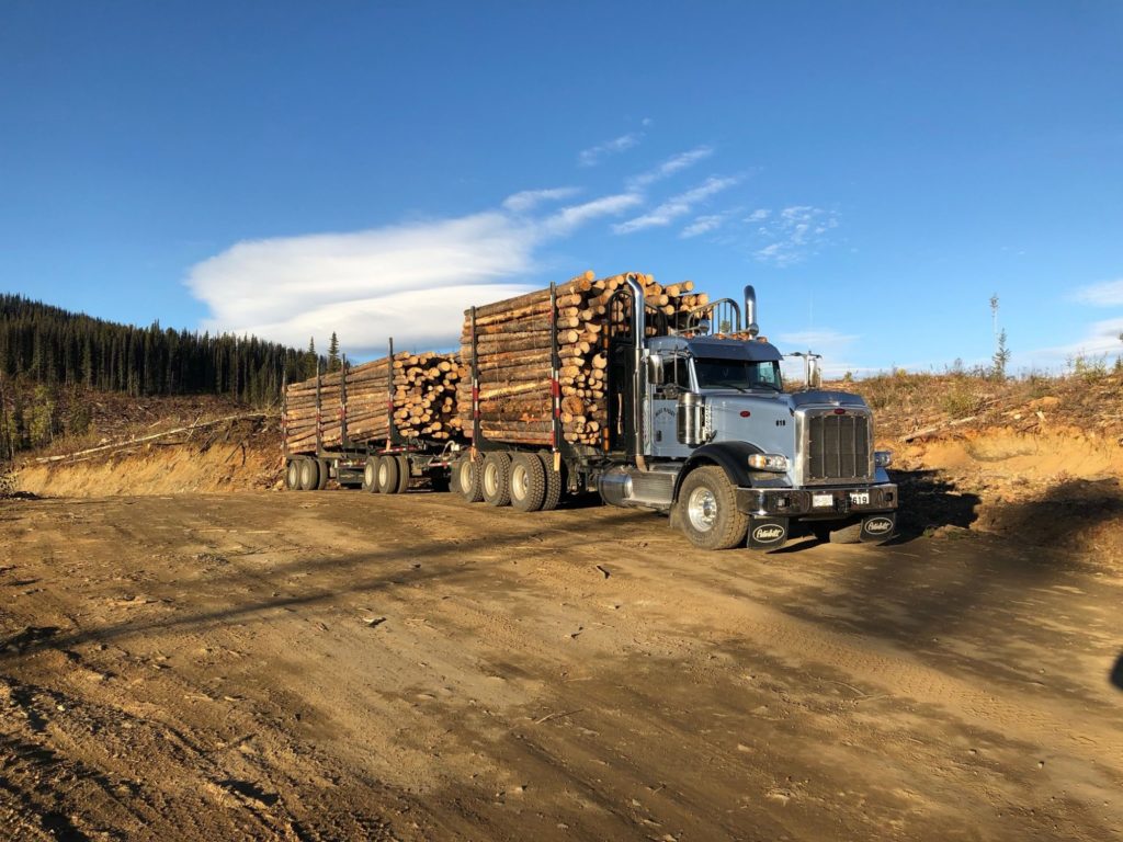Researchers project growing market for forestry trailers - Truck News
